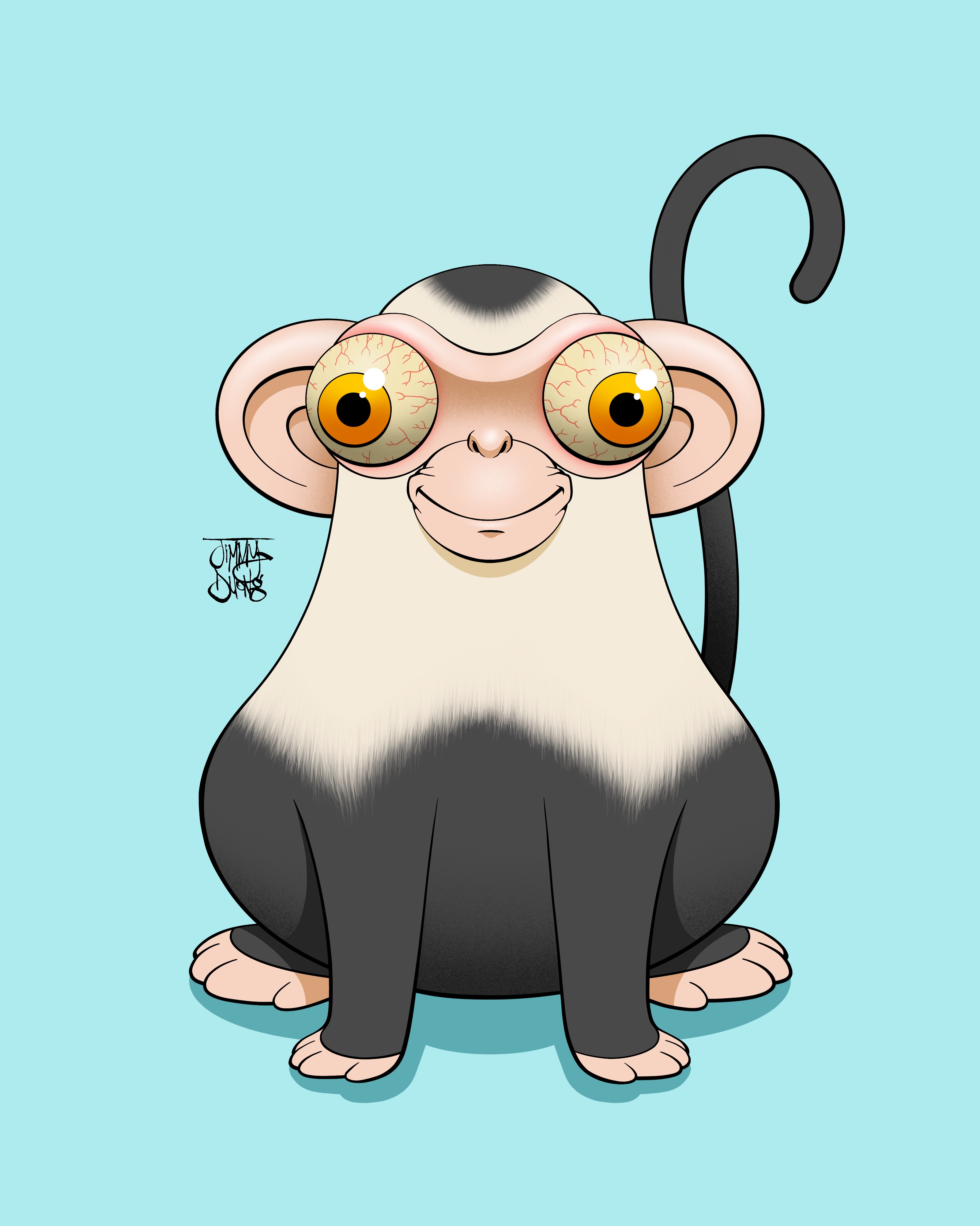 Derpy Capuchin Monkey – Image by Jimmy